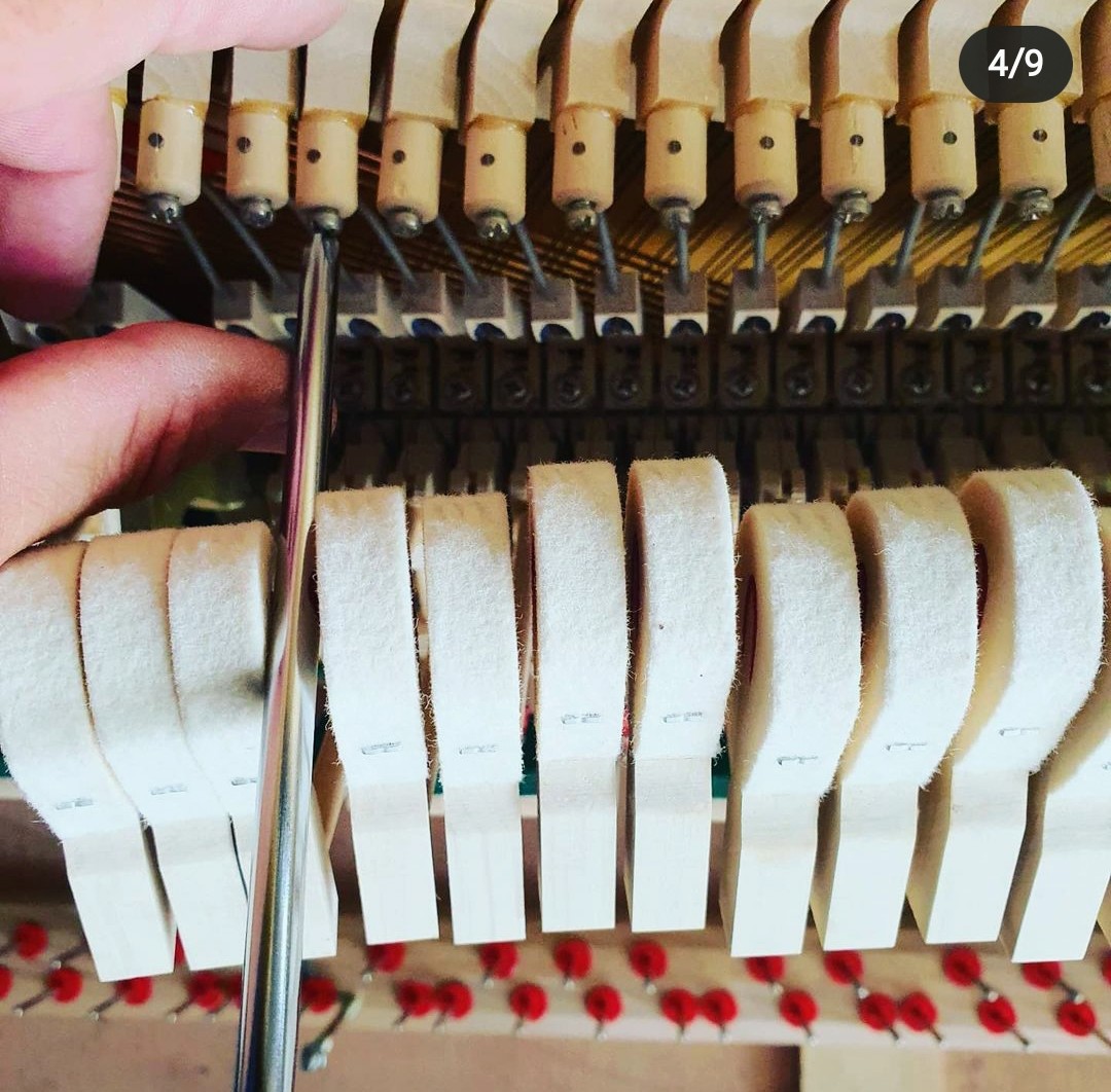 Piano Tuning/Regulation - Naaman Cailes Piano Tech